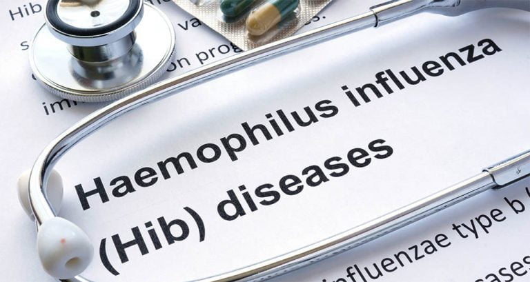 Haemophilus influenzae: All You Need to Know